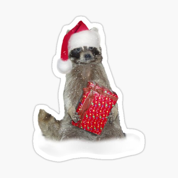 "Christmas Bandit Raccoon " Sticker for Sale by Gravityx9 | Redbubble