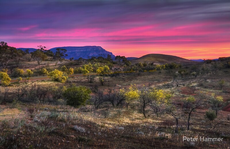 "Sunset in the Flinders ranges" by Peter Hammer | Redbubble