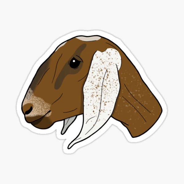 "Goat Head" Sticker by stickerstone | Redbubble