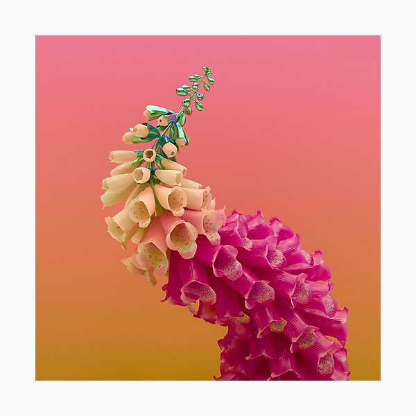 "Flume Skin flower fire" Photographic Print by mintchocchip | Redbubble