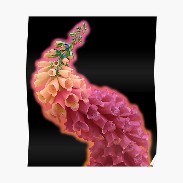 "Flume Skin flower fire" Poster for Sale by mintchocchip | Redbubble
