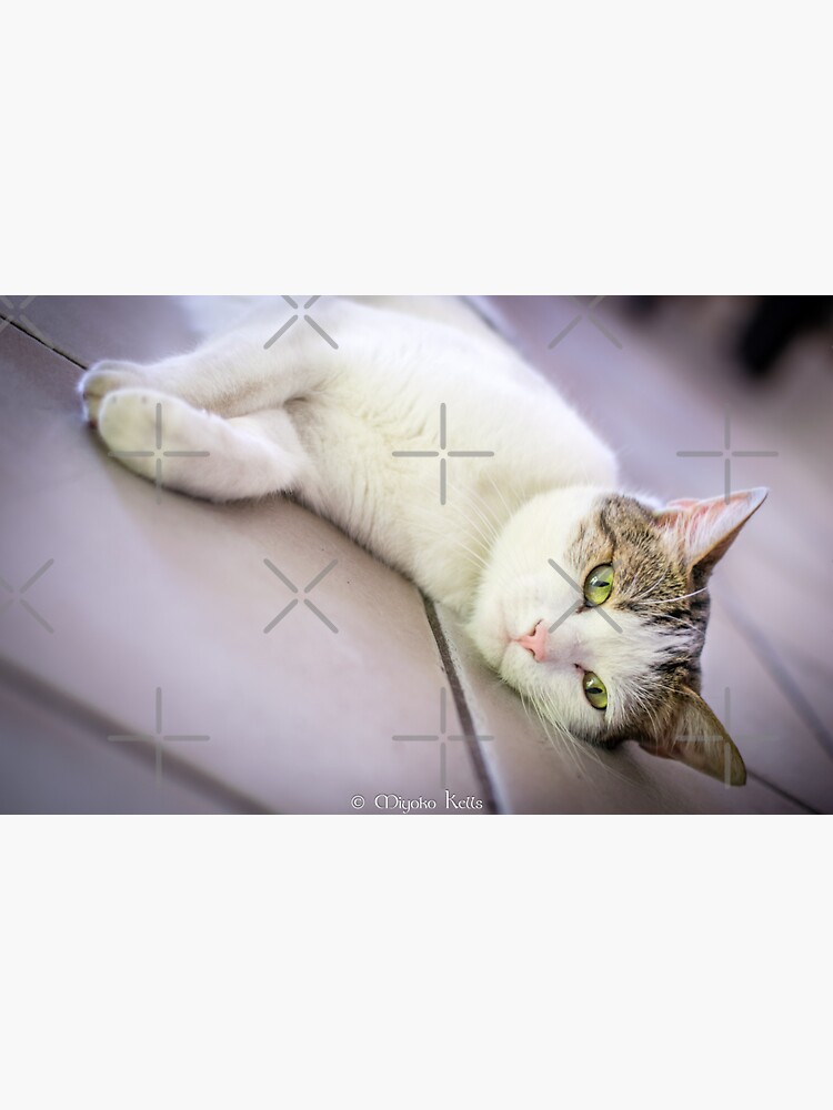 "Nexus the cat" Sticker for Sale by MiyokoKells | Redbubble