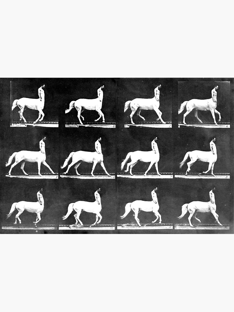"A Study of the Movement of Centaurs (Canter)." Sticker for Sale by ...
