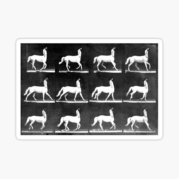 "A Study of the Movement of Centaurs (Canter)." Sticker for Sale by ...