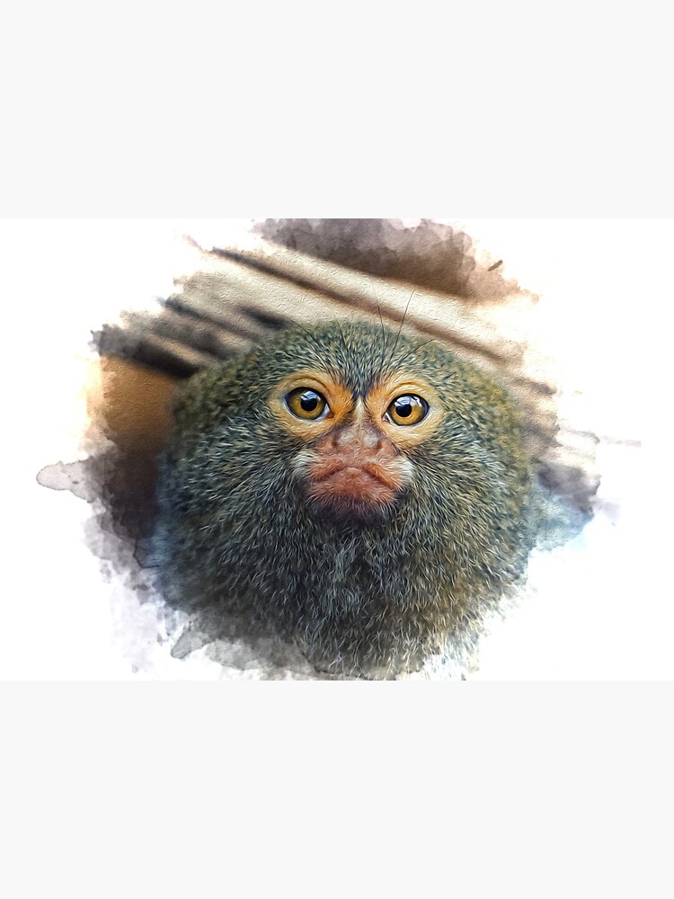 "Pygmy marmoset monkey" Mask by Pearcatprod | Redbubble