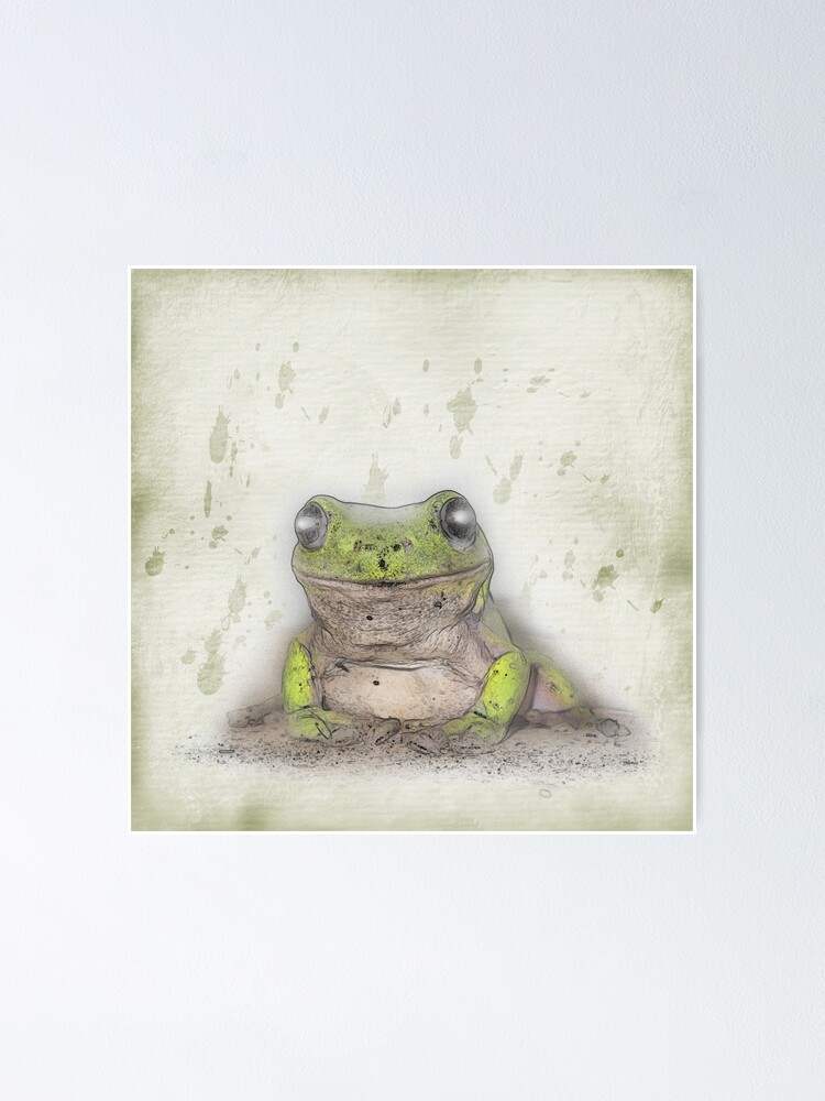 "Posing green tree frog" Poster by hereswendy | Redbubble