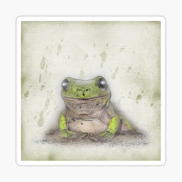 "Posing green tree frog" Sticker by hereswendy | Redbubble