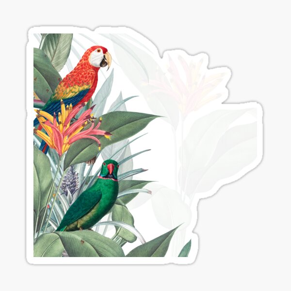 "Canary bird" Sticker by medsalim | Redbubble