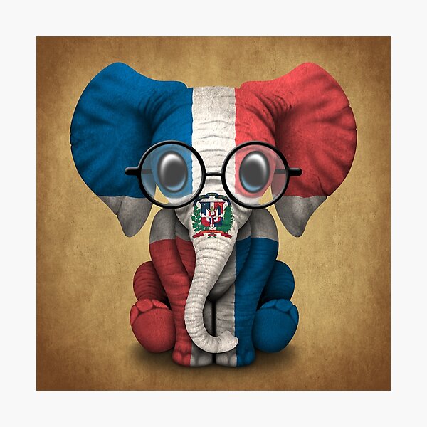 "Baby Elephant with Glasses and Dominican Flag" Photographic Print for ...