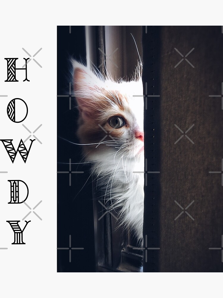 "Howdy - Cat - Kitten - Kitty - Meow - " Sticker by KSarkar | Redbubble