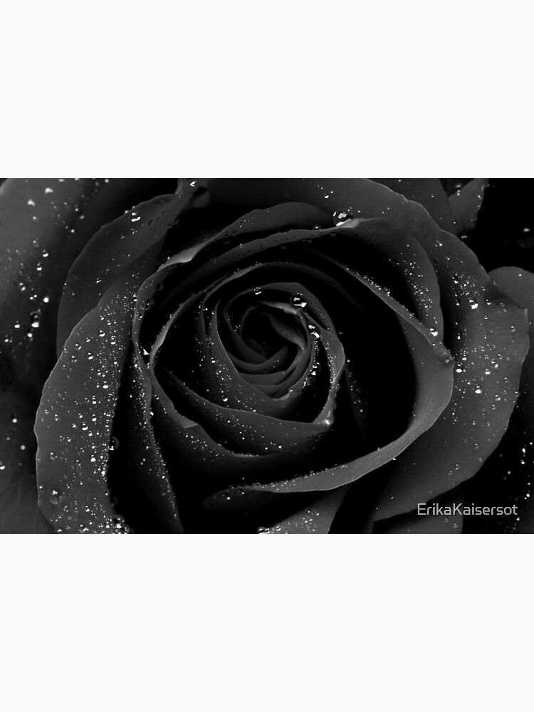 "Flowers Black Rose" Poster by ErikaKaisersot | Redbubble