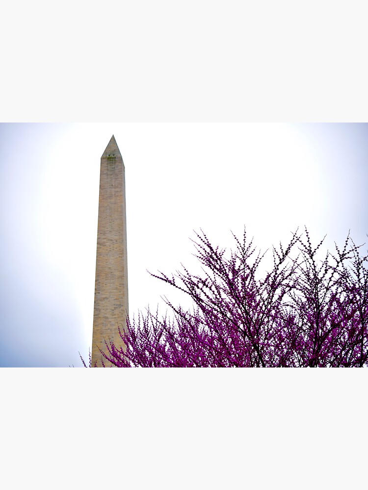 "Washinton National Monument" Sticker for Sale by qmld1988 | Redbubble