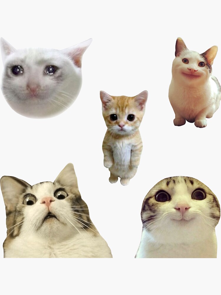 "Sticker set meme cats stickers pack pack" Sticker by PandaPope | Redbubble