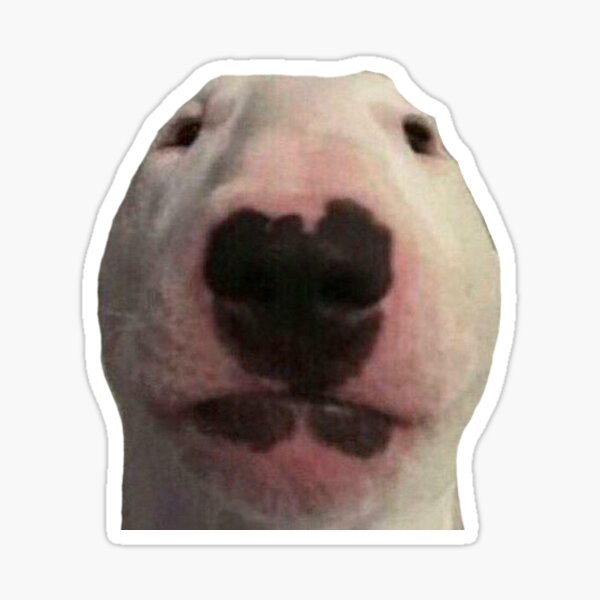 "dog meme sticker" Sticker for Sale by katelynau | Redbubble