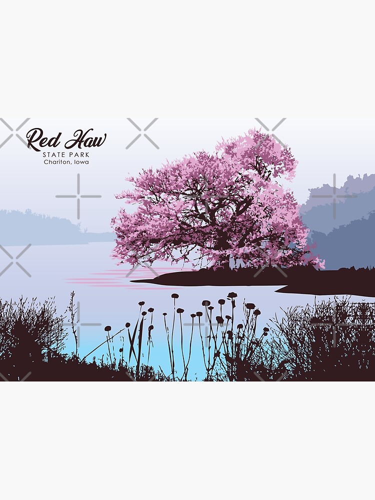 "Red Haw State Park Art" Photographic Print by NaomiFriend | Redbubble