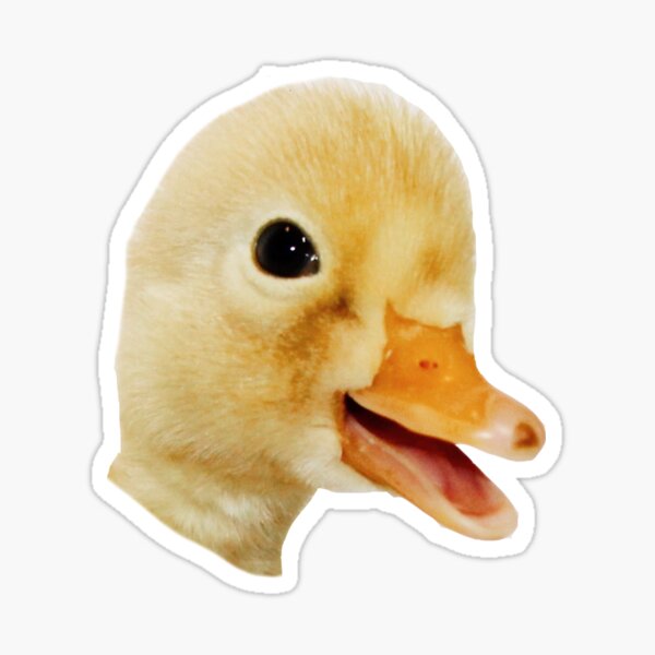 "Duck Head Sticker" Sticker by janiepullen | Redbubble
