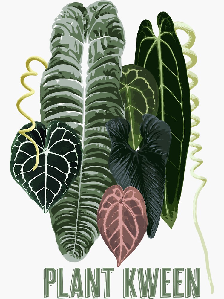 "plant kween" Sticker for Sale by peperomia | Redbubble