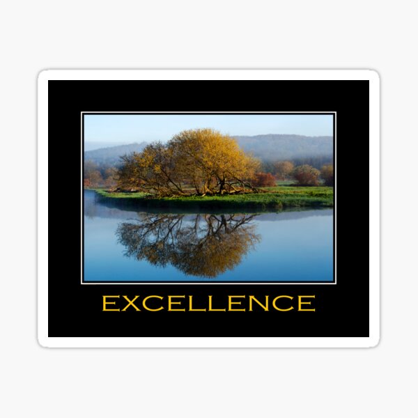 "Excellence Inspirational Art" Sticker for Sale by rollosphotos | Redbubble