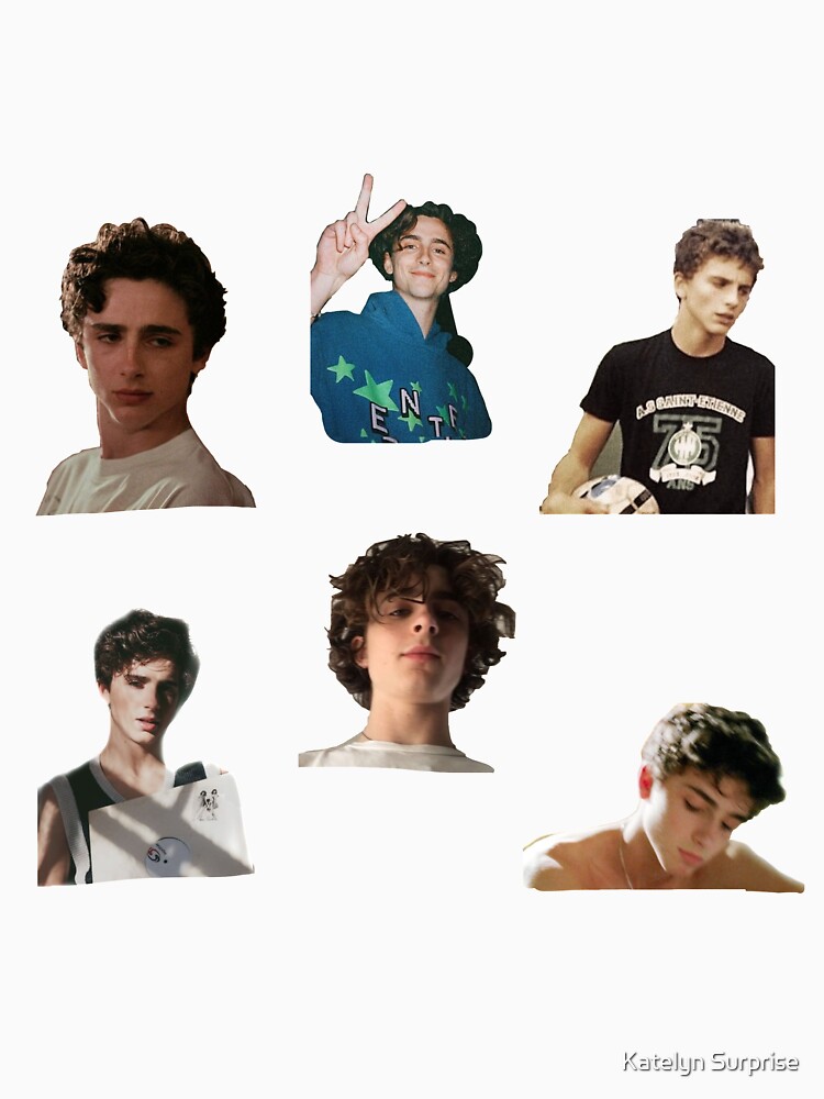 "Timothee Chalamet Sticker Pack" T-shirt for Sale by Yellowdaisi ...
