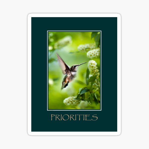 "Priorities Inspirational Art" Sticker for Sale by rollosphotos | Redbubble