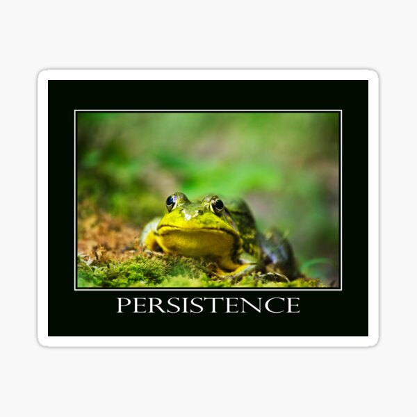 "Persistence Inspirational Art" Sticker by rollosphotos | Redbubble