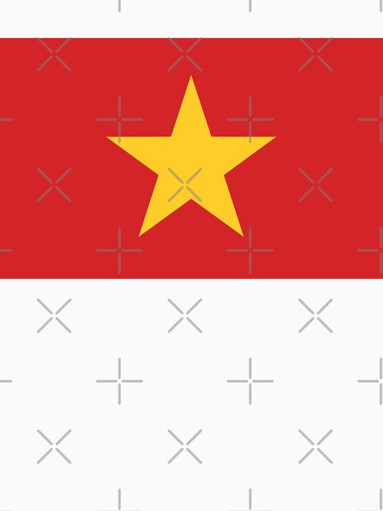 "Vietnam National Flag, Socialist Republic of Vietnam" Pullover Hoodie ...