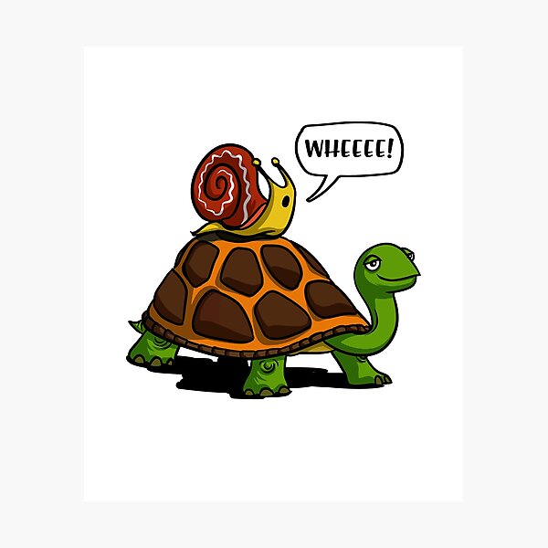 "Snail Riding Turtle" Photographic Print for Sale by underheaven ...