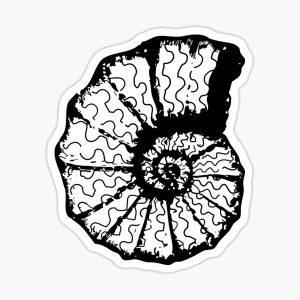 "Ammonite" Sticker for Sale by rl-designs | Redbubble