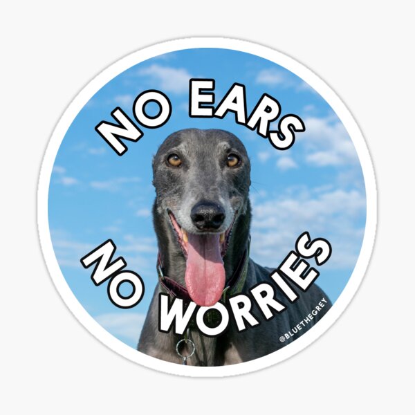 "No Ears No Worries" Sticker for Sale by bluethegrey | Redbubble
