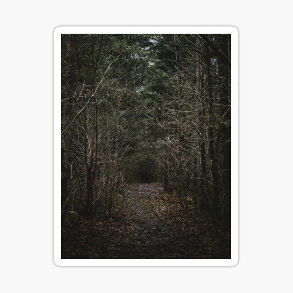 "Mysterious path in the forest" Sticker by urbonasphotos | Redbubble