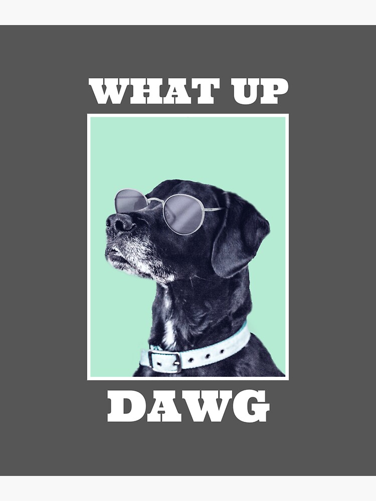 "What Up Dawg" Sticker for Sale by AladdinMktgs | Redbubble