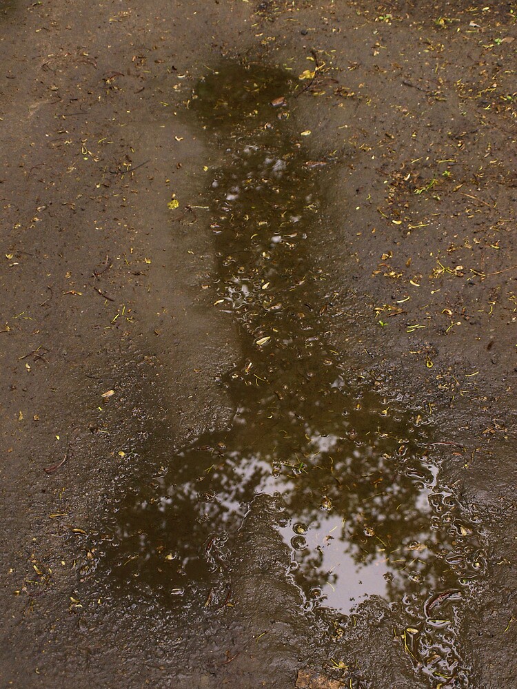 "The puddle :)" Metal Print by ulryka | Redbubble