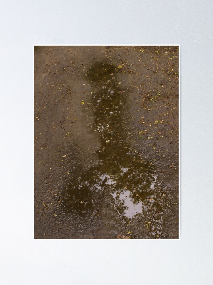 "The puddle :)" Poster by ulryka | Redbubble