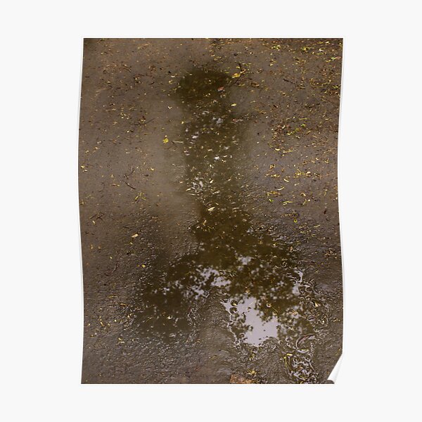 "The puddle :)" Poster by ulryka | Redbubble