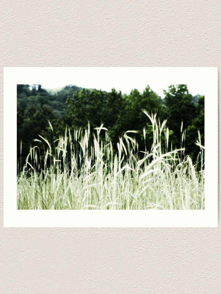 "Splendor in the grass" Art Print for Sale by Happyhead64 | Redbubble