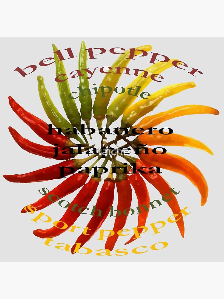 "Chili Color Wheel With Hot Pepper List" Art Print by taiche | Redbubble