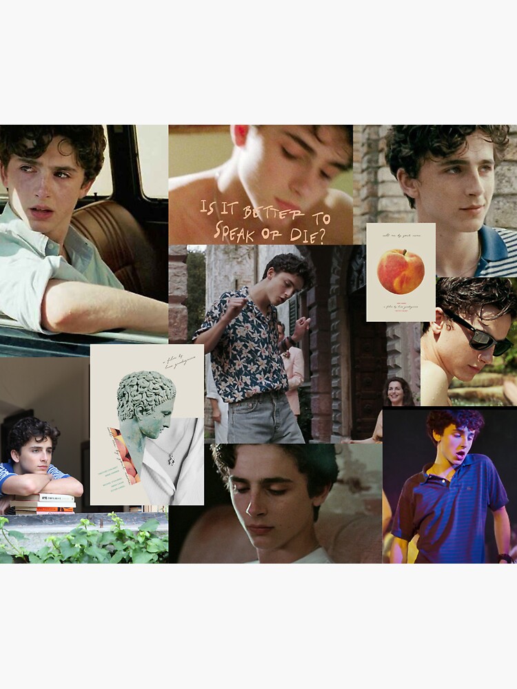 Pegatina «Timothee Chalamet - Elio Perlman Llámame por tu nombre» de ...