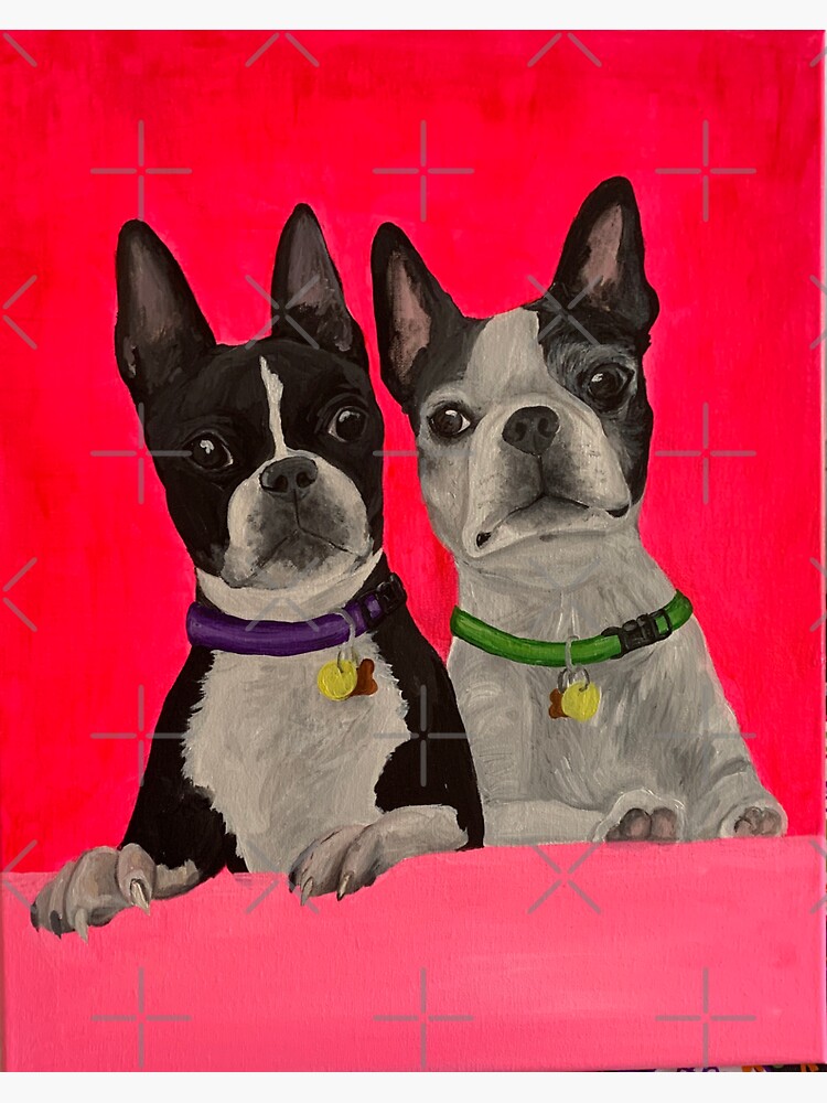 "Two Bostons" Sticker by lilo28329 | Redbubble