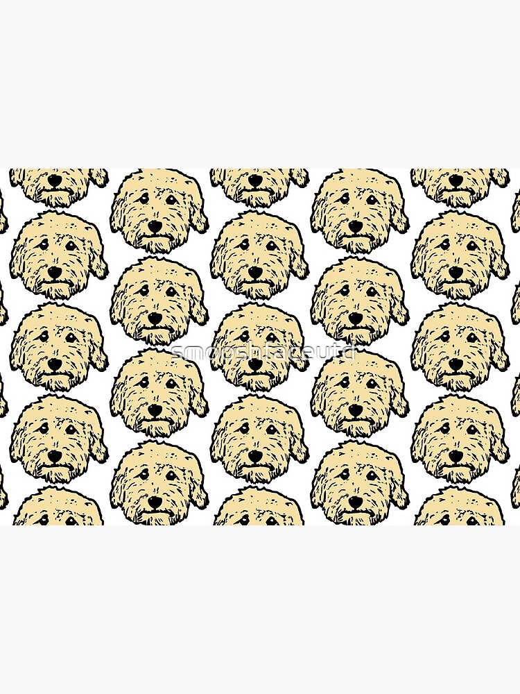 "Apricot Doodles on white - cream Goldendoodle! Black Labradoodle ...