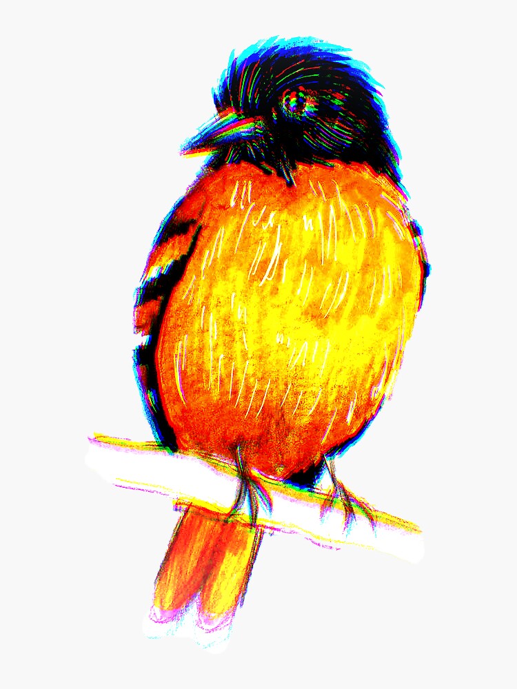 "Baltimore Oriole Bird Original Marker Drawing" Sticker for Sale by ...