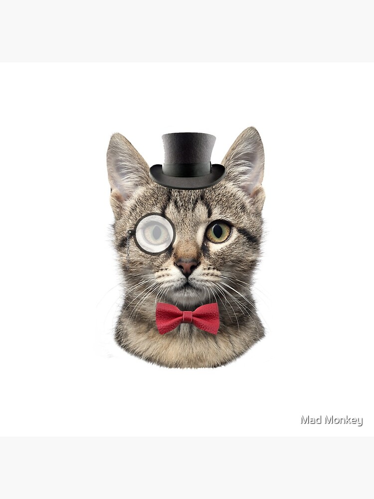 "Monocle Cat" Throw Pillow for Sale by mad-monkey | Redbubble
