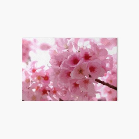 "Sakura tree | Sakura (Cherry Blossom) dust | Sakur anime n.a.r.u.t.o ...