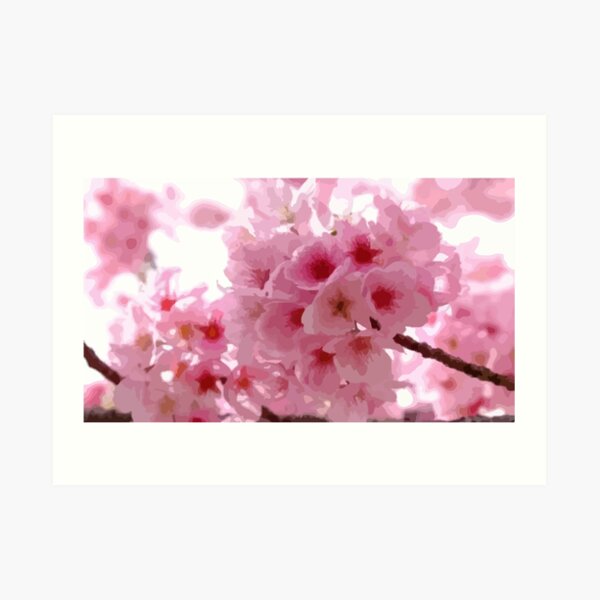 "Sakura tree | Sakura (Cherry Blossom) dust | Sakur anime n.a.r.u.t.o ...