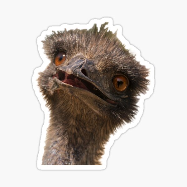 "Emu " Sticker for Sale by Shirasaya | Redbubble