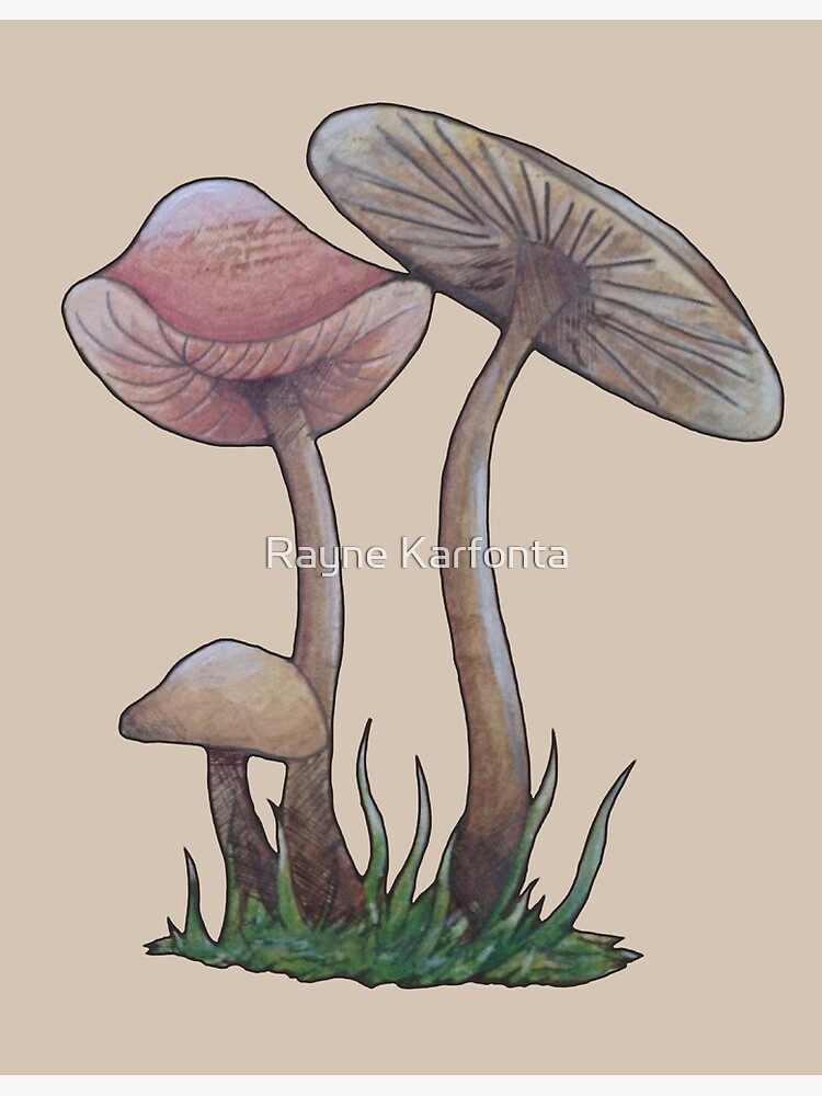 "Simple Mushrooms " Poster for Sale by Rayne Karfonta | Redbubble