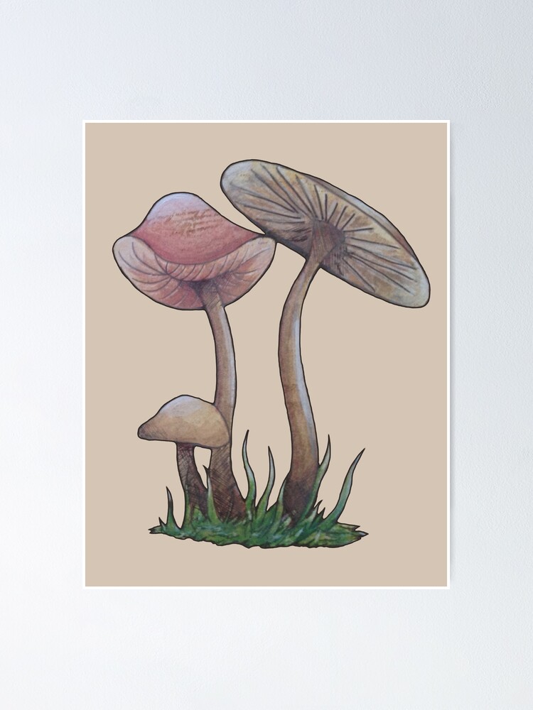 "Simple Mushrooms " Poster for Sale by Rayne Karfonta | Redbubble