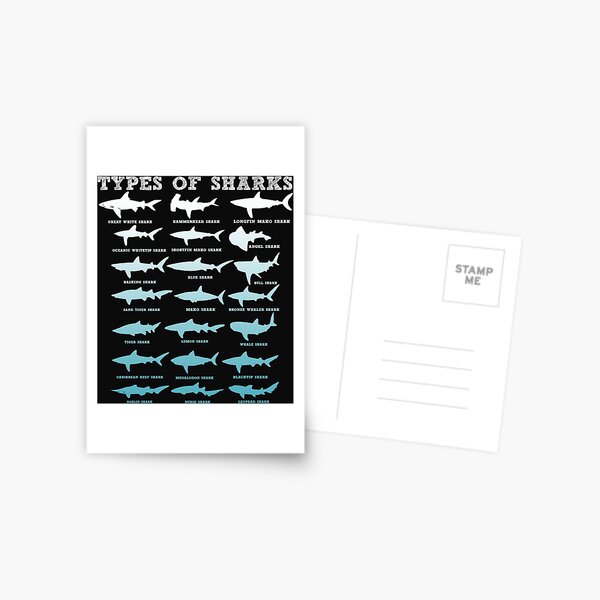 "Types of Sharks" Postcard by mydesigns15 | Redbubble