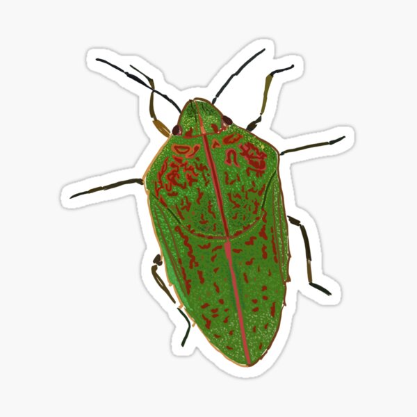 "Hawaiian Koa Bug" Sticker for Sale by NadJac | Redbubble