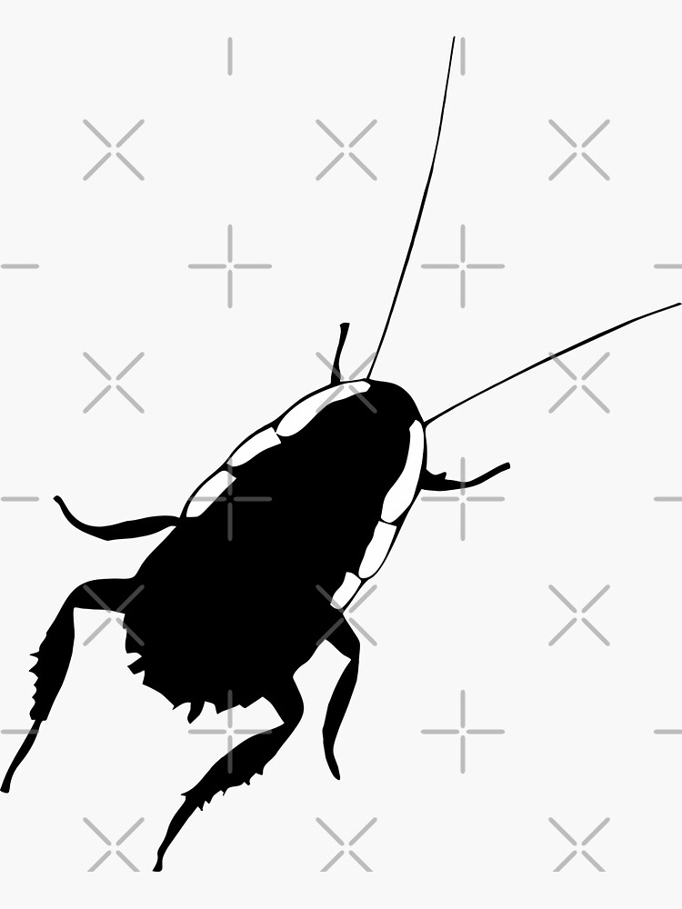 "Cockroach" Sticker by Kiwidom | Redbubble