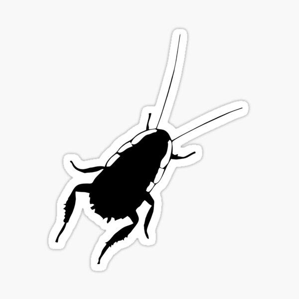 "Cockroach" Sticker by Kiwidom | Redbubble